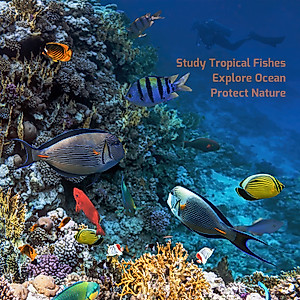 GobiDex Ocean Fish Dig Kit, Excavate 12 Sea Life Fish Toys, Science Kits for Kids Age 6-8-12, STEM Education Science Activities Toys, Great Gift for Boys & Girls Age 6+