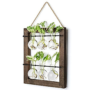 Mkono Double Layer Wall Hanging Glass Planter Propagate Station, Modern Novel Flower Bulb Vase Plant Terrarium with Retro Wooden Stand for Hydroponics Plants Home Garden Office Decor, 6 Bulb Vase