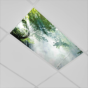 LANQiAO Fluorescent Light Covers for Classroom Kitchen Office Decorations,Rainforest,Enhance Mood and Reduce Stress,Easy to Install Fluorescent Light Filters,2x4 Green White