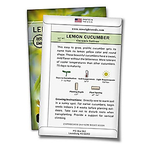 Sow Right Seeds - Lemon Cucumber Seeds for Planting - Non-GMO Heirloom Seeds with Instructions to Plant and Grow a Home Vegetable Garden, Great Gardening Gift (1)
