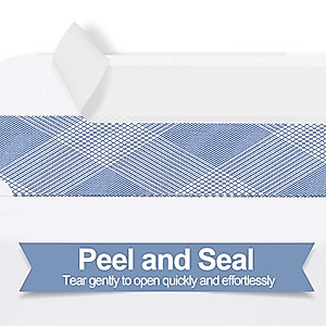 #10 Security Self-Seal Envelopes, PANDRI Windowless Business Mailing Envelopes, Security Tint Pattern for Secure Mailing, Invoices and Statements, Size 4-1/8 x 9-1/2 Inch - 24 LB - 500 Count