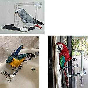 Keersi Bird Portable Suction Cup Shower Perch Window Wall Stand Platform for Medium Large Parrot Macaw African Greys Amazon Cockatoo Parakeet Cockatiel Conure Budgie Lovebirds Finch Canary Bath Toy