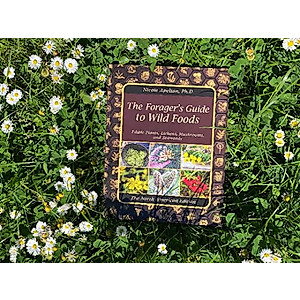 The Forager’s Guide to Wild Foods
