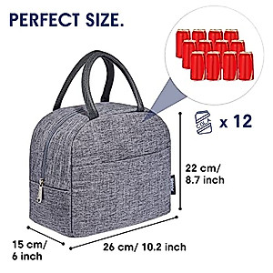 Lunch Bag Reusable Cooler Bag Lunch Box Containers Insulated Lunchbox Tote Bag Water-resistant Leakproof Womens Mens Office Work Beach Hiking Picnic Fishing (Grey with Upgrade Insulated Lining)