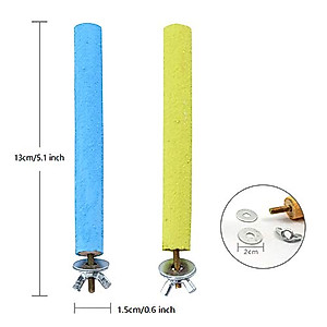 4 Pieces of 4 Color Bird and Parrot Roosting Platform, Biting and Foot Grinding Toy Set, Lizard Climbing, Frosted Springboard, Pole Set (2 Roosting Platforms + 2 Standing Sticks)