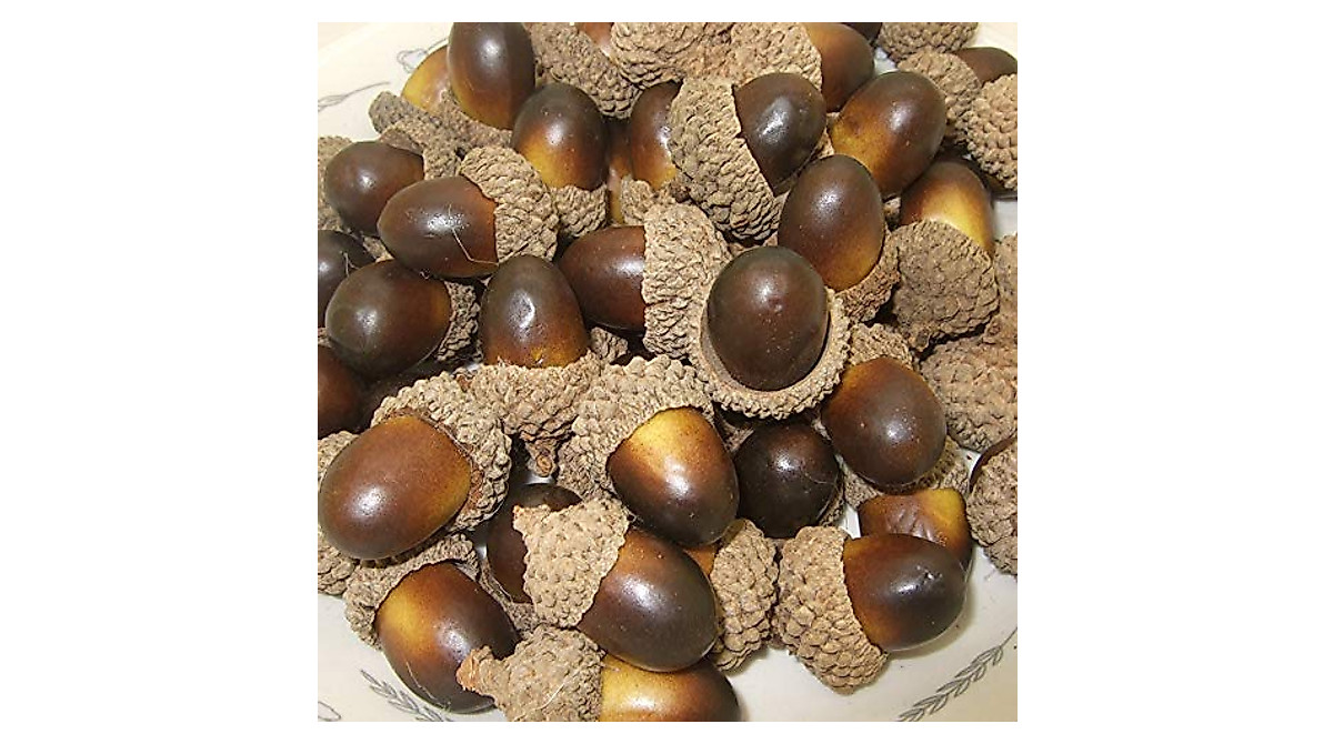 Onwon 100pcs Artificial Acorns for DIY Craft & Home Decor