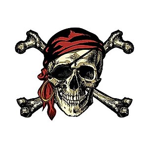 Magnet Pirate Skull and Crossbones Magnetic vinyl bumper sticker sticks to any metal fridge, car, signs 5"