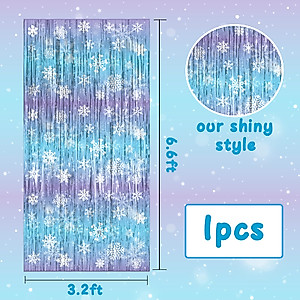 Frozen Party Decorations, 2Pack Frozen Snowflake 3.3x6.6ft Tinsel Foil Fringe Curtains Winter Photo Booth Prop Backdrops, Frozen Decorations for Birthday Snowflake Fringe Curtains for Frozen Party