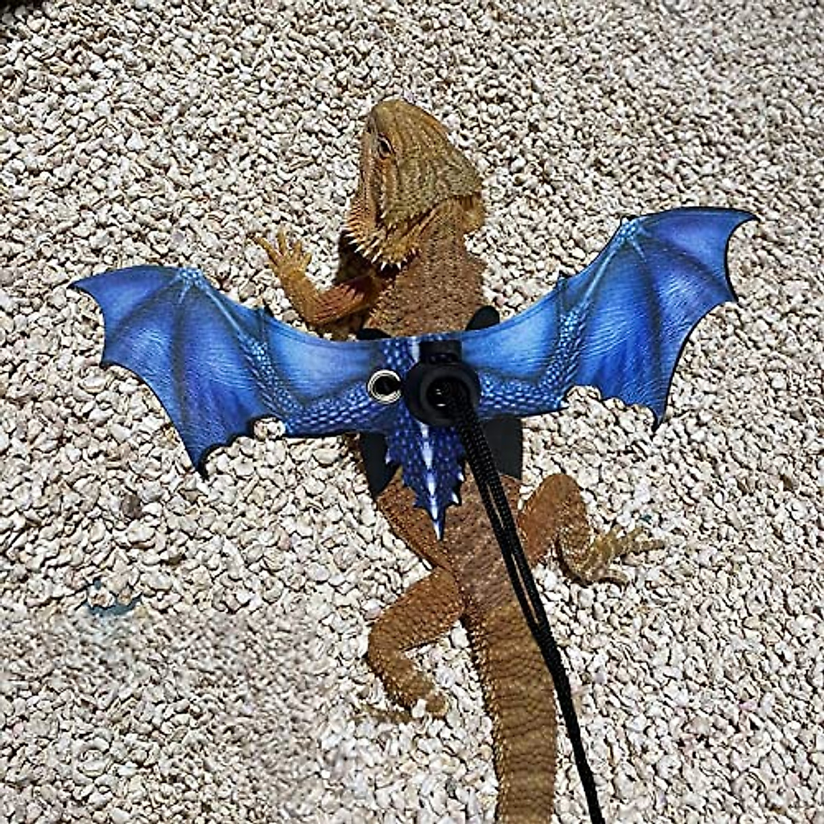 Adjustable Bearded Dragon Harness and Leash,Leather Reptile Leash Outdoor Harness Leash with Bat Wings for Lizard Reptiles Amphibians Small Pet Black Gray B