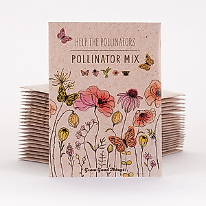 Bentley Seeds Pollinator Seed Mix - Pre-Filled, Non-GMO, Non-Coated Butterfly Seed Packets - 25 Annual Wildflower Seed Packs - Perfect Eco-Friendly Gift