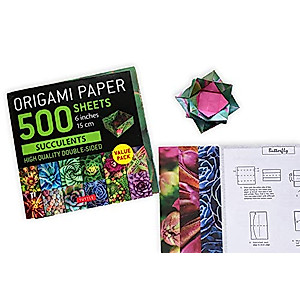 Origami Paper 500 sheets Succulents 6" (15 cm): Tuttle Origami Paper: Double-Sided Origami Sheets with 12 Different Photographs (Instructions for 6 Projects Included)
