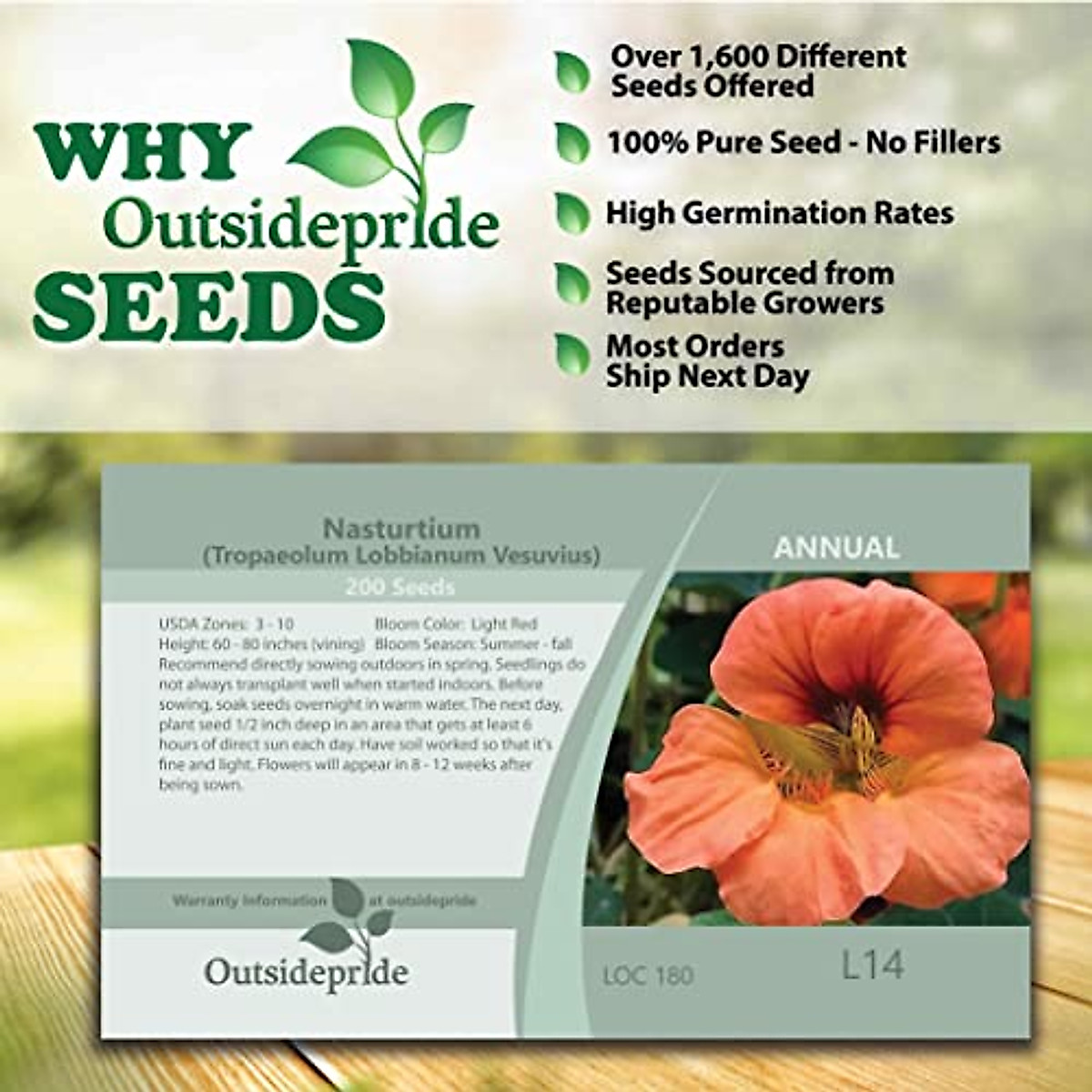 Outsidepride Tropaeolum Nasturtium Vesuvius Climbing, Vining, Flowering, Plants for Trellis, Fences, Arbors & More - 200 Seeds