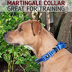 Leashboss Reflective Martingale Collar and 6 Ft Leash with Padded Handle, Medium Collar 14.5-17" Neck, Blue