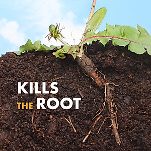 Spectracide Weed Stop For Lawns Plus Crabgrass Killer, Ready to Use, Kills Weeds, Not The Lawn, 32 fl Ounce