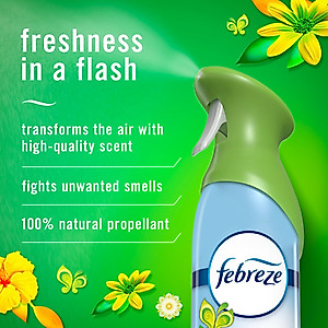 Febreze Air Freshener and Odor Eliminator Spray, Gain Original Scent, 8.8 Oz (Pack of 6)