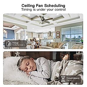 TREATLIFE Smart Ceiling Fan Control, 4 Speed Fan Switch for Ceiling Fan, Neutral Wire Required, Smart Home Devices that Works with Alexa and Google Assistant, Remote Control, Schedule, No Hub Required