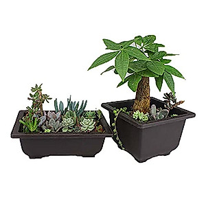 Plastic Bonsai Pots, Square Nursery Pots Retro Planters Plants Growing Pots, Garden Supplies Succulents Home Decoration Pots(Rectangle L)