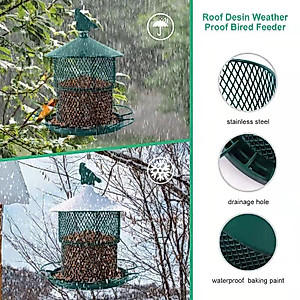 Metal Bird Feeders for Outside Hanging,Squirrel Proof Wild Bird Feeders for Cardinal, Heavy Duty with 4lbs Large Seed Capacity,6 Perches for Garden Yard Outdoors