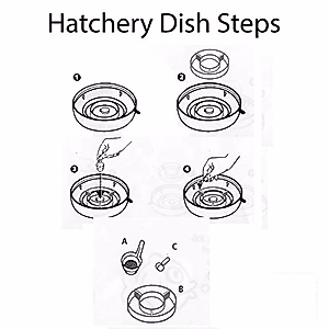 Brine Shrimp Hatchery Dish + 3 Months Supply of Brine Shrimp Eggs