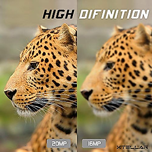 Xtellar Trail Camera 24MP 1080P IP66 Waterproof with Clear Night Vision and 3 Passive Infrared Motion Sensors for Hunting Scouting Range Control and Wildlife Researching (Camo Green)