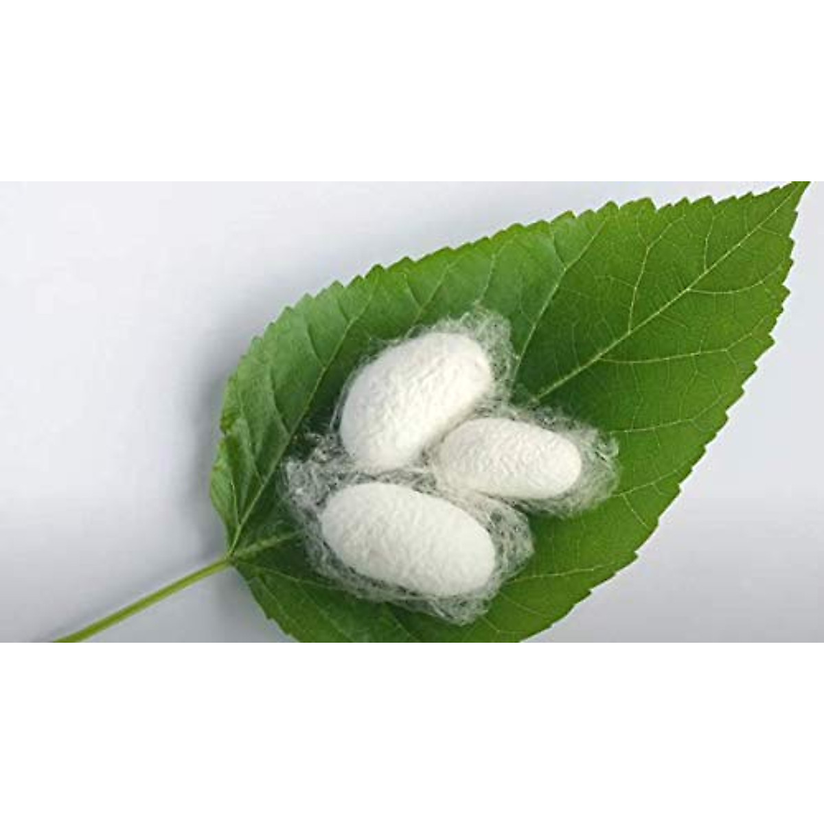 Mimi Organic & Natural Life, Mimi Organic 100 Natural Mulberry Silk Hand Face Yoga Towel 2 Layer | Newborn Baby and Woman Heavenly Soft Washcloth 12x12in 1pc, Off-White No Bleached Dyed