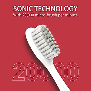 Flexforce Battery-Operated Electric Toothbrush 2 Brush Heads & Travel Version Battery Extra Soft Toothbrush -V1 Carmine Red