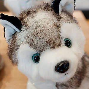 Plush Husky Dog Stuffed Animal Puppy Toys GiftsPuppy plush doll dog simulation doll, soft decorations and lovely gifts for girls and boys on birthdays and children's day