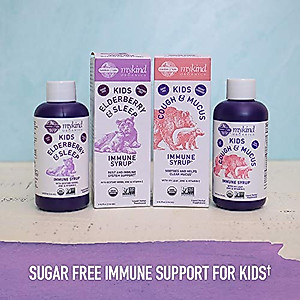 Garden of Life Elderberry Immune Support for Kids with Zinc, Vitamin C - mykind Organics Kids Elderberry & Sleep Immune Syrup Liquid, Bedtime Herbs for Children, No Alcohol, No Added Sugar, 3.92 fl oz