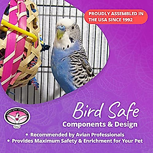 Super Bird Creations SB573 Basket Case Bird Toy, Medium Bird Size, 10" x 4"