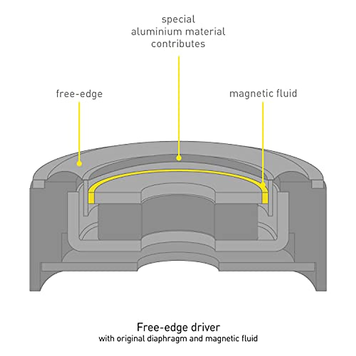 Technics Premium in- Ear Monitors IEM, High-Fidelity Wired in-Ear Earbuds Earphones with Innovative 10mm Driver for Ultra-Low Distortion - EAH-TZ700, Black/Gold