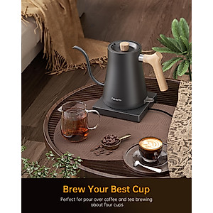 Fabuletta Gooseneck Electric Water Kettle, 3 Minutes Quick Heating, 1200W Pour Over Kettle for Coffee & Tea, Precise Water Flow Control Hot Water Boiler, 100% Stainless Steel Water Boiler