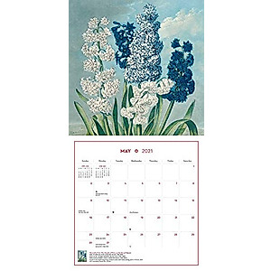 Botanicals 2021 Wall Calendar