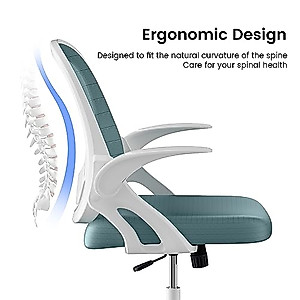 Home Office Chair Work Desk Chair Comfort Ergonomic Swivel Computer Chair, Breathable Mesh Desk Chair, Lumbar Support Task Chair with Wheels and Flip-up Arms and Adjustable Height