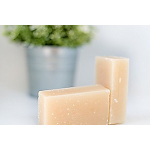 Shampoo Bar (3.5 Oz) - With Jojoba Oil and Tea Tree Oil for Healthy Hair Growth and Scalp - Reduces Hair Loss - Phthalate, Paraben, Sulfate, and Gluten Free - Vegan