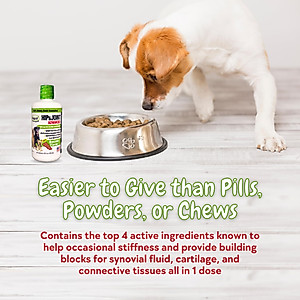 Liquid-Vet by COOL PET Holistics K9 Hip & Joint Advanced Formula, Bacon Flavor, 32 oz