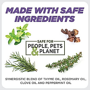 Earth's Ally 3-in-1 Plant Spray Concentrate | Insecticide, Fungicide & Spider Mite Control, for Indoor Houseplants & Outdoor Plants & Gardens - Insect, Pest & Antifungal Treatment, 32oz Concentrate