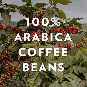 Community Coffee Café Special Pre-Measured Coffee Packs, Medium Dark Roast, 2.5 Ounce Bag (Box of 40)