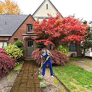 Kinaba Weed Grabber Remover Garden Tools for Driveway Patio Sidewalk, Crack and Crevice Weeding Tool and Broom