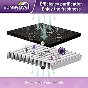 115115 replacement Filter for Winix Air Purifier C535 Filter A, 2 True HEPA(H13) Filter + 8 Activated Carbon Filters （2 Sets-A Total of 10）