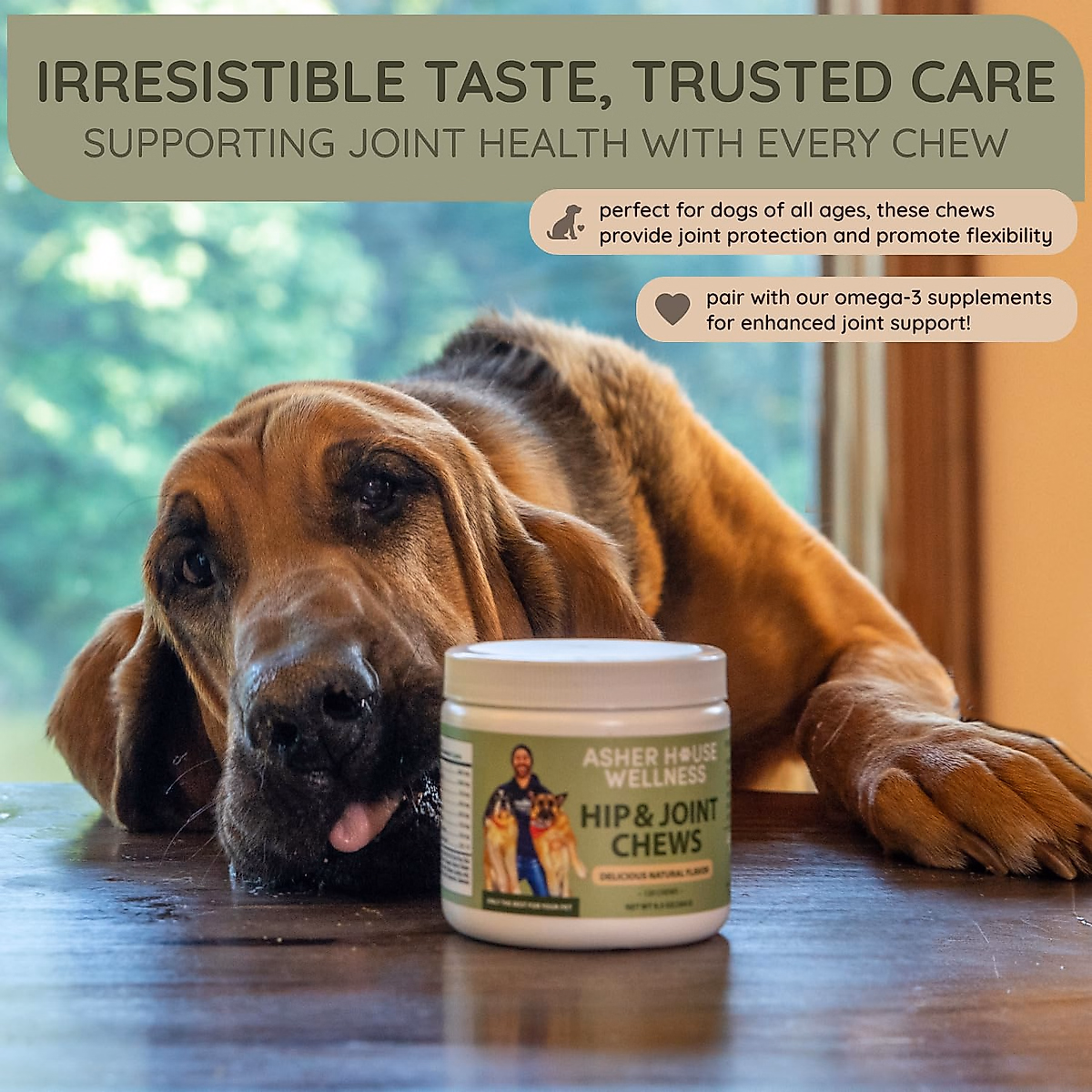 Asher House Wellness Hip and Joint Supplement for Dogs - Natural Soft Chew with MSM, Chondroitin, Glucosamine, Vitamins - Promotes Joint Health & Pain Relief Senior & All Dog Breeds, Large, 120 Chews