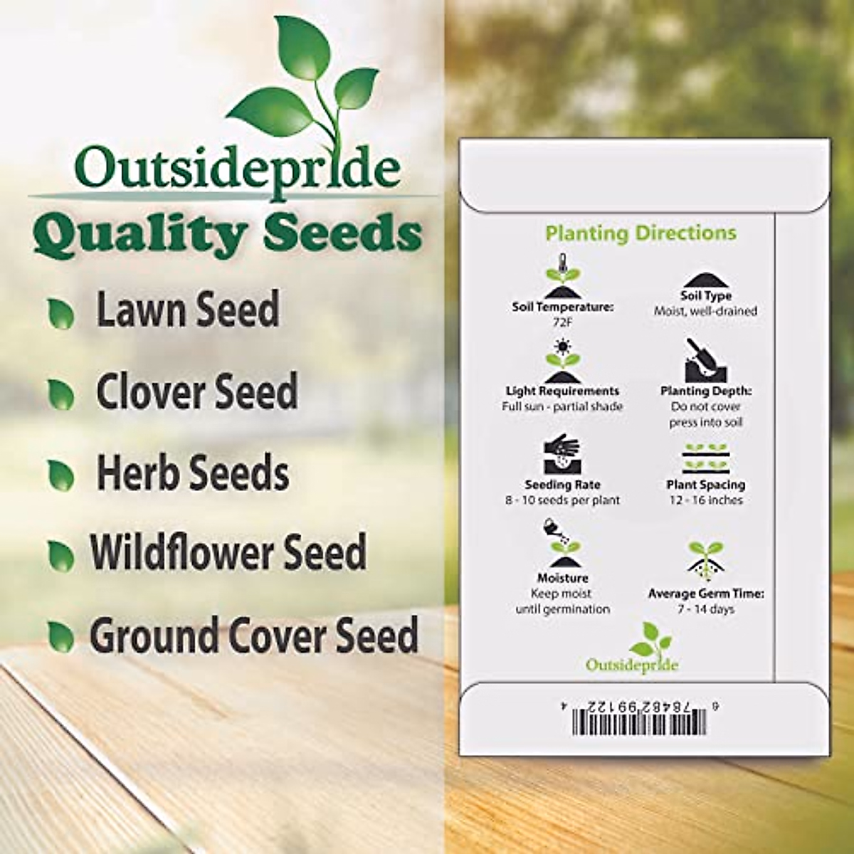 Outsidepride Hypoestes Splash Rose Polka Dot Container or Bedding Plant for Shade Gardens - 200 Seeds