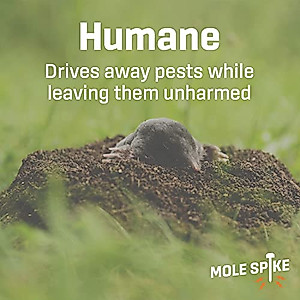 Exterminators Choice Ultrasonic Mole Spikes to Rid Lawns & Gardens of Rodents - 4 Pack - Solar Powered Rodent Repeller is an Energy Saving and Humane Pest & Gopher Repellent - Mole Repellent