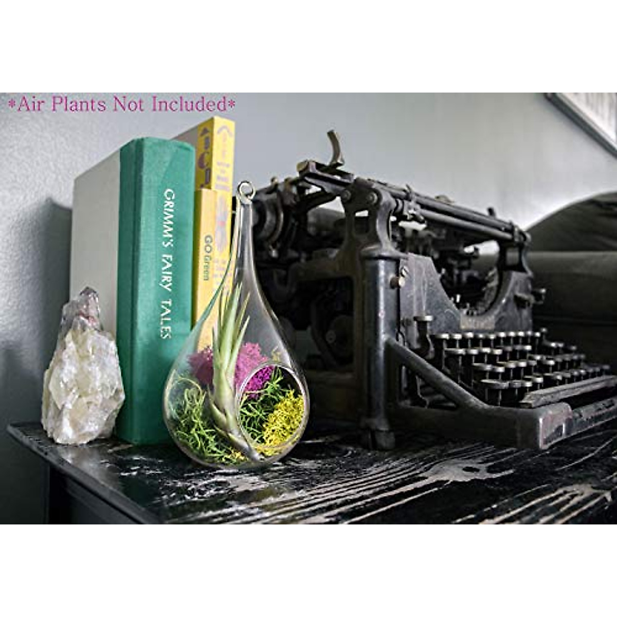 Tillandsia Air Plant Food | Fertilizer Kit with Spray Bottle and Mister | Encourages Air Plants to Bloom with Formulated Nutrients by Aquatic Arts