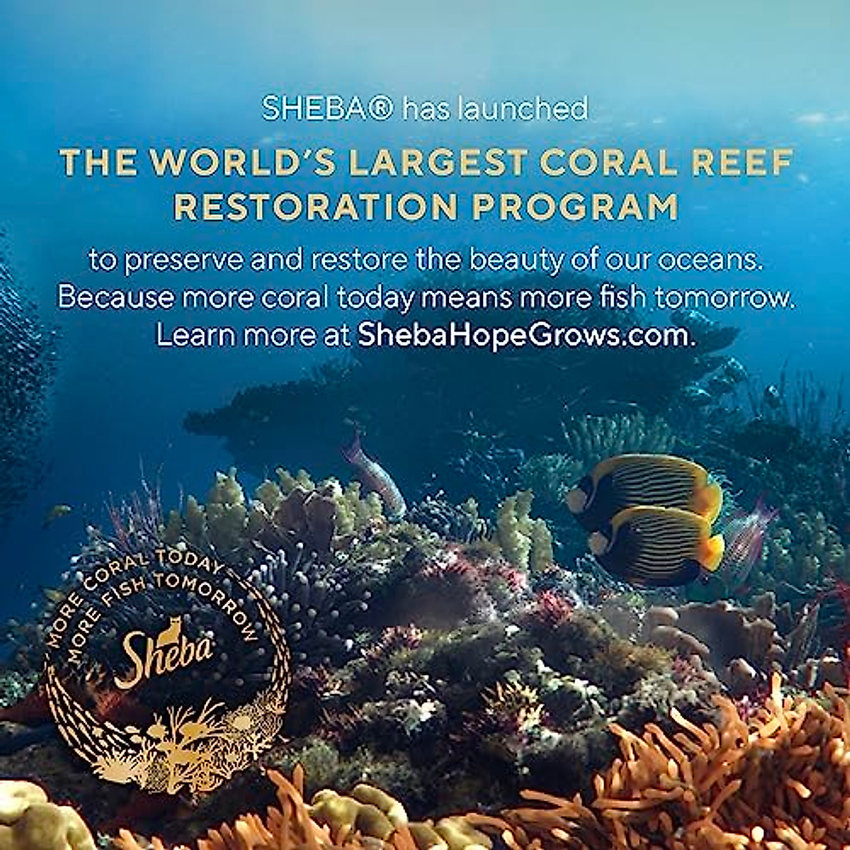 SHEBA PERFECT PORTIONS Paté Adult Wet Cat Food Trays (24 Count, 48 Servings), Signature Seafood Entrée, Easy Peel Twin-Pack Trays