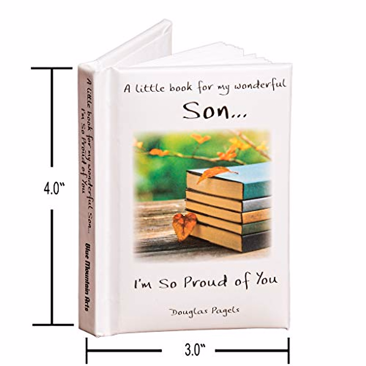 Blue Mountain Arts Mini Book (A little book for my wonderful Son…)—Birthday Gift, Graduation Gift, Stocking Stuffer, or Just Because Gift from Mom or Dad, by Douglas Pagels, 4 x 3 inches