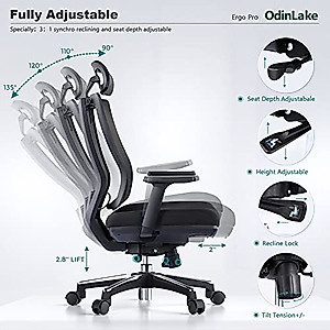 OdinLake Ergonomic Office Chair Mesh - Seat Depth Adjustable Home Office Desk Chairs High Back with Lumbar Support - Computer Swivel Task Chair with Footrest, Headrest, PU Wheels (Model: Ergo Pro 633)