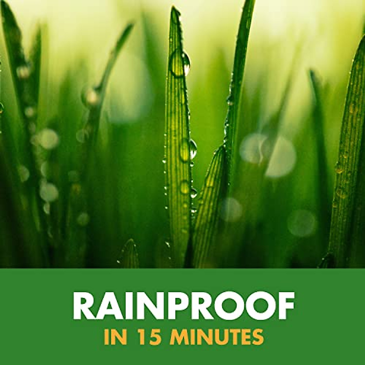 Spectracide Weed Stop For Lawns Plus Crabgrass Killer, Ready-to-Use, 1 gallon