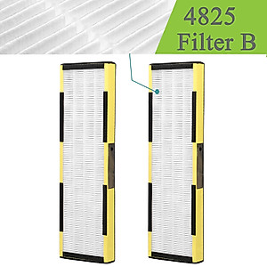 2 Pack Replacement FLT4825 Filter B with 10 Pack Carbon Pre-Filters Compatible with Guardian AC4825, AC4300BPTCA, AC4900CA, AC4825DLX, AC4850PT, CDAP4500BCA, CDAP4500WCA
