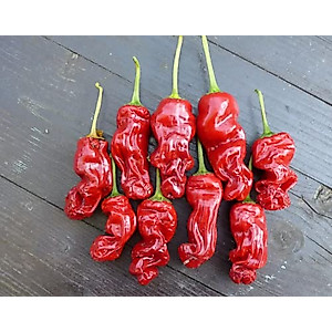 30 Peter Pepper Seeds to Plant Rare Chili Seeds Indoor Outdoor Ornaments Perennials Garden Growing Can Grow Well Pot