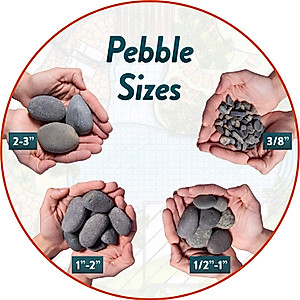 Mexican Beach Pebbles | 20 Pounds of Smooth Unpolished Stones | Hand-Picked, Premium Pebbles for Garden and Landscape Design | Black Buttons, 1/2 Inch - 1 Inch
